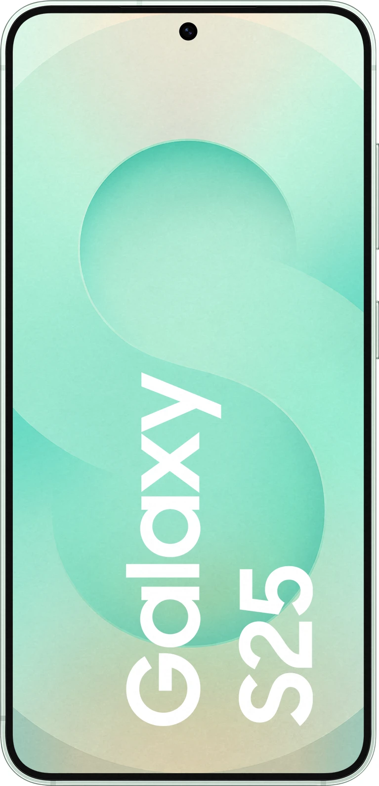 Samsung Galaxy S25 256 GB Mint - Mobilfunk Bottrop
